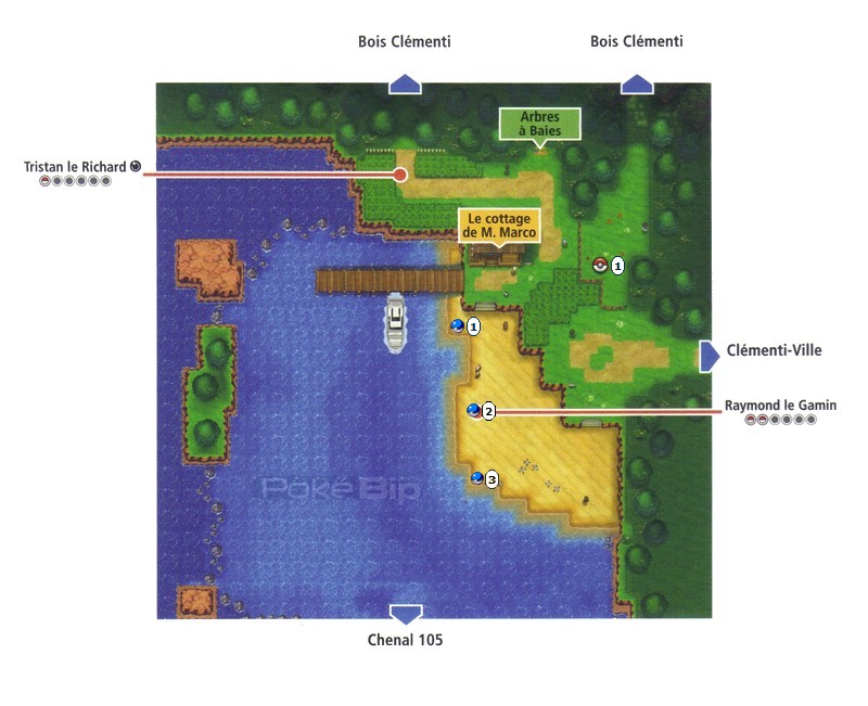 Pokémon Rubis Oméga et Saphir Alpha > Guide complet de Hoenn > Route ...