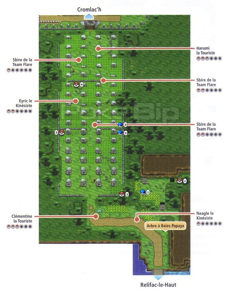 Pokémon X et Y > Guide des Lieux > Route 10 - Pokébip.com