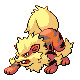Fiche Pokédex de Arcanin / Arcanine / Windie - Versions Diamant, Perle ...
